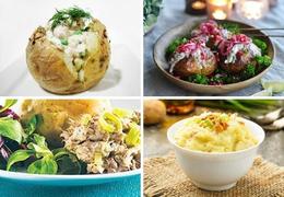 Recept Med Ansjovis, Bacon, Chorizo, Citron, Dill, Dragon, Falukorv ...